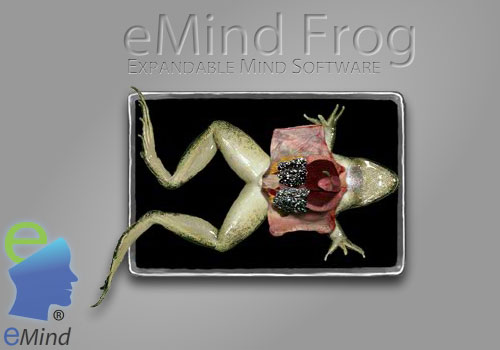 eMind Frog Demo